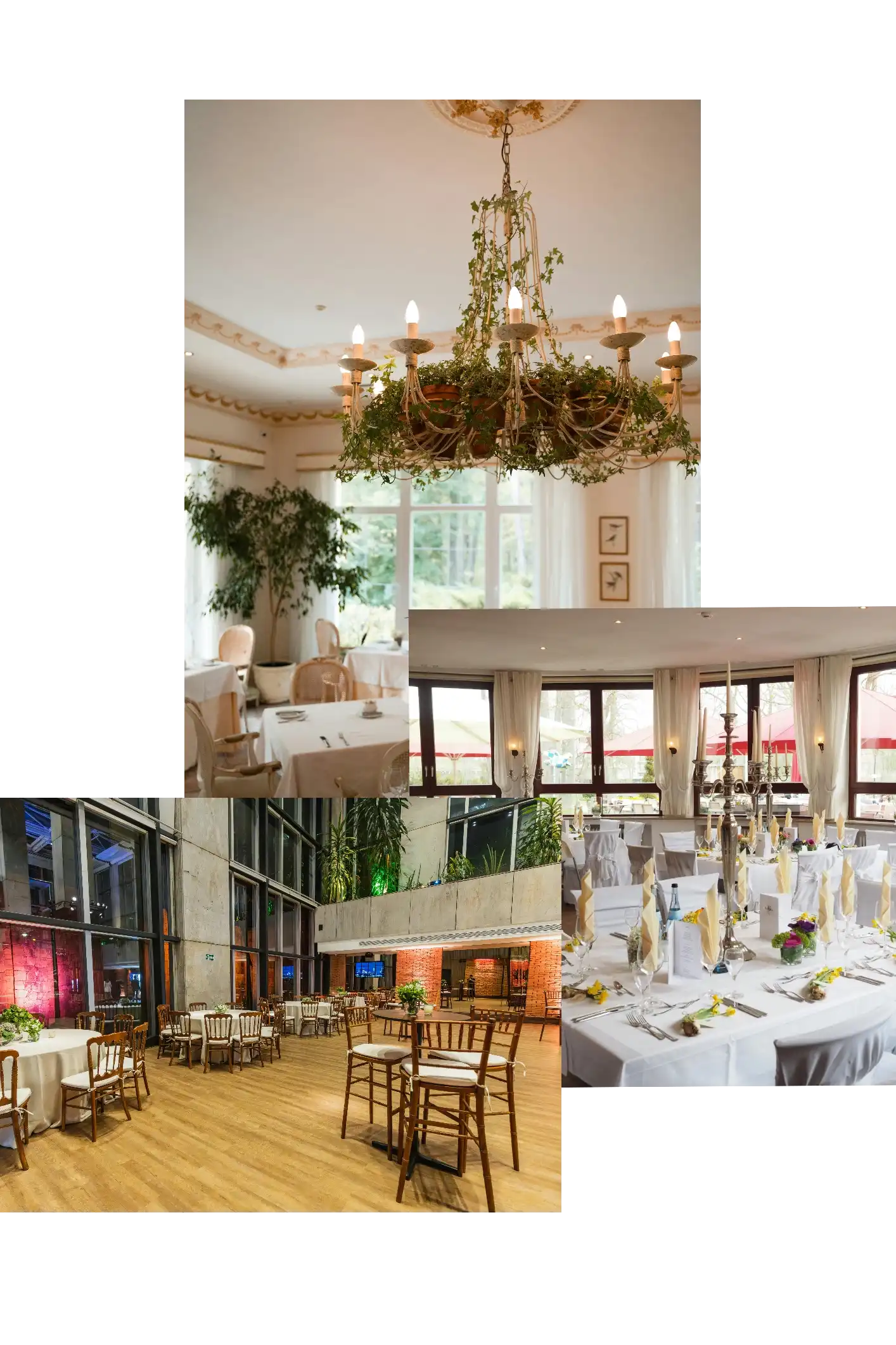 Billify: Optimize Your Function Hall with Our All-in-One Management ...